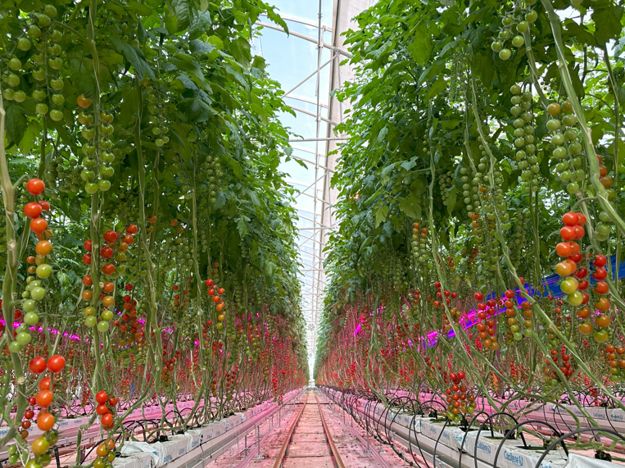 Our Fresh Food Suppliers | Fresh Direct