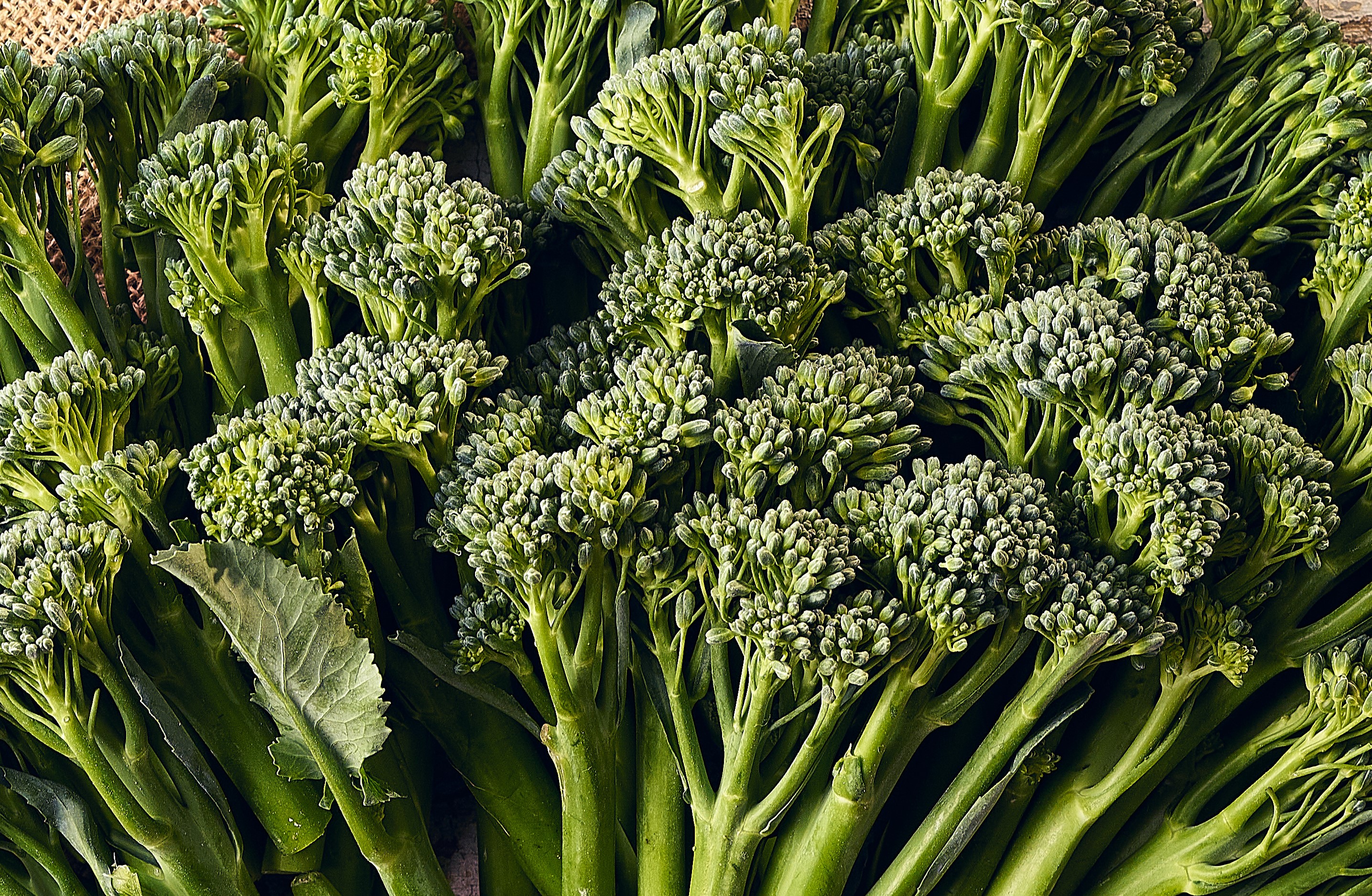 Crop Report | Seasonal Fresh Produce Insights | Fresh Direct