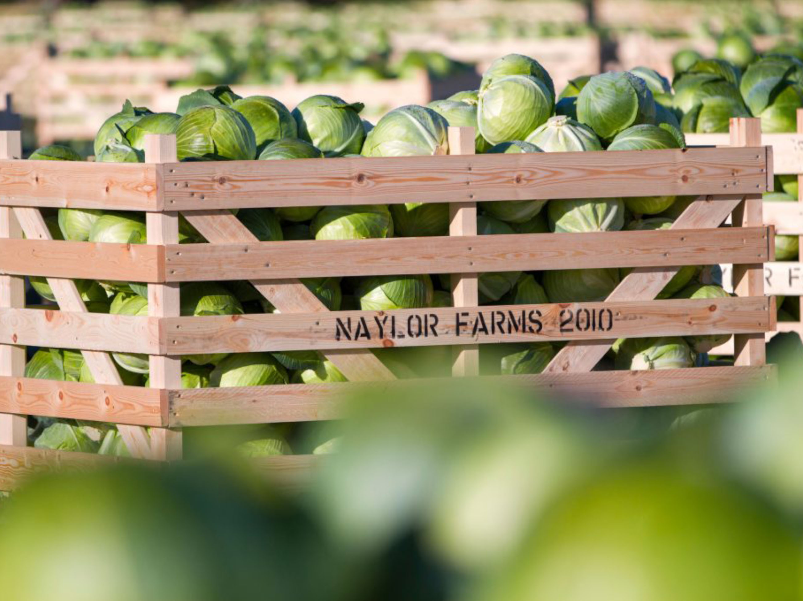 Our Fresh Food Suppliers | Fresh Direct