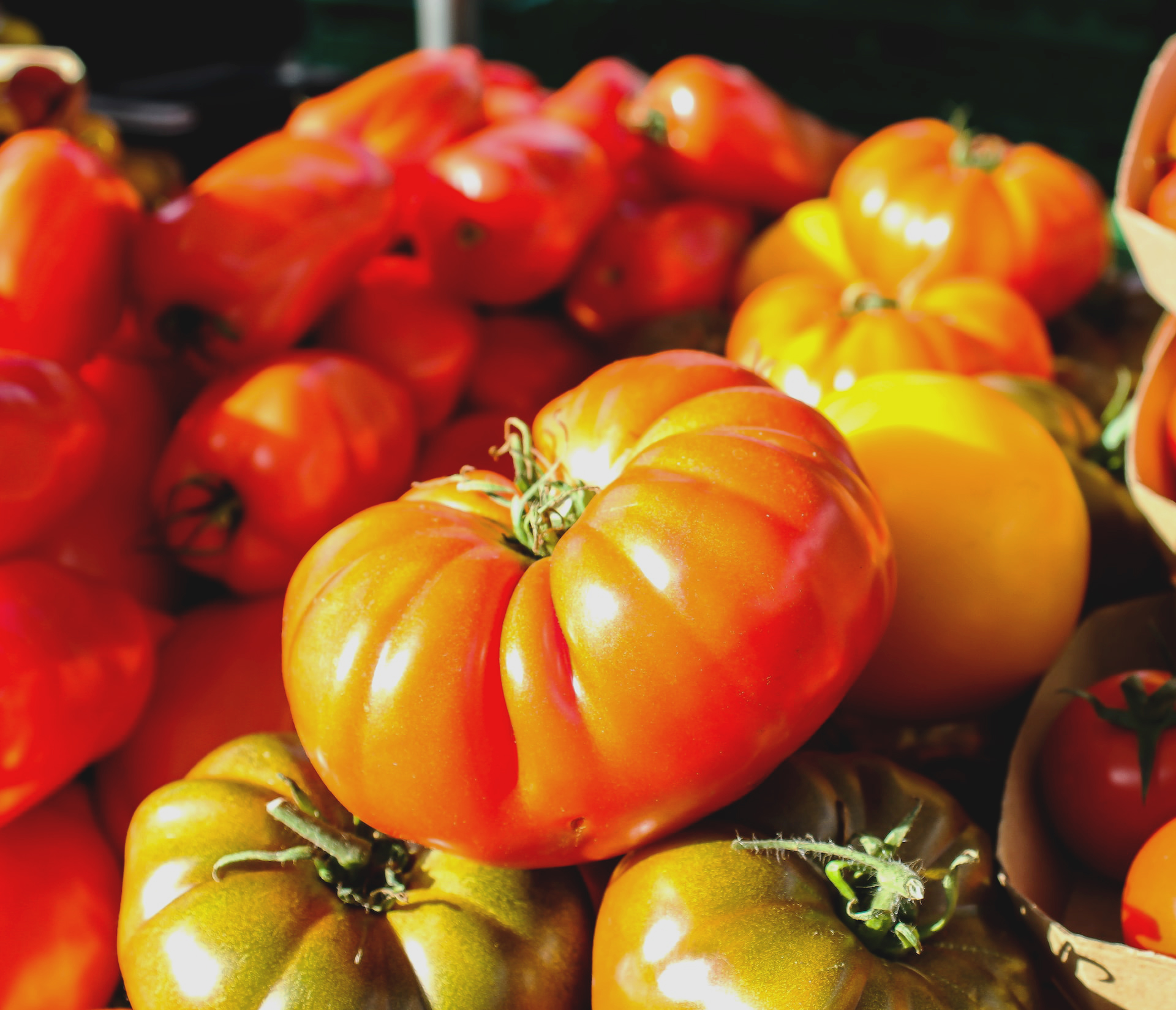 Crop Report | Seasonal Fresh Produce Insights | Fresh Direct