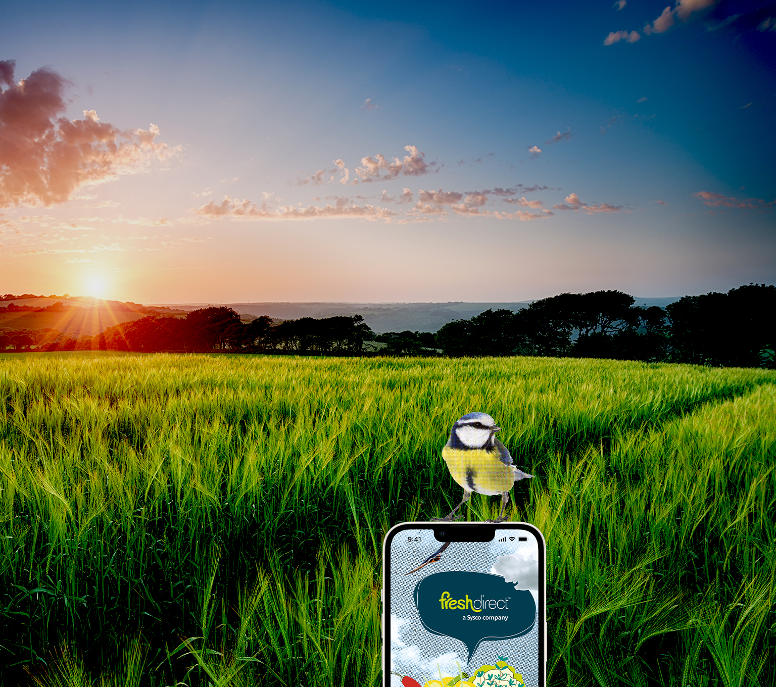 Award-Winning Fresh Food Supplier to Professional Kitchens | Fresh Direct